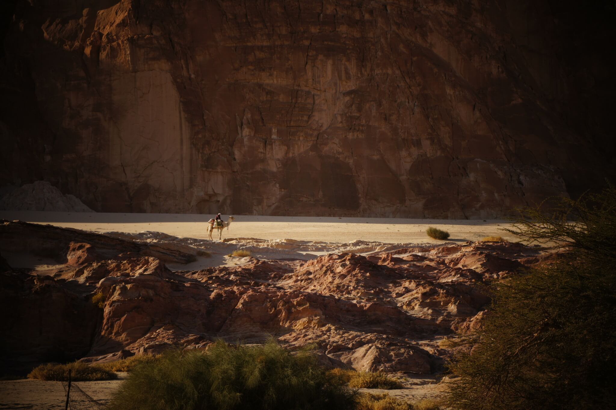 AHMED MAGED – Filmmaker, Video Journalist